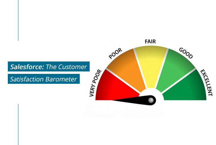 How To Measure Customer Satisfaction In Salesforce? - Pratham Software™